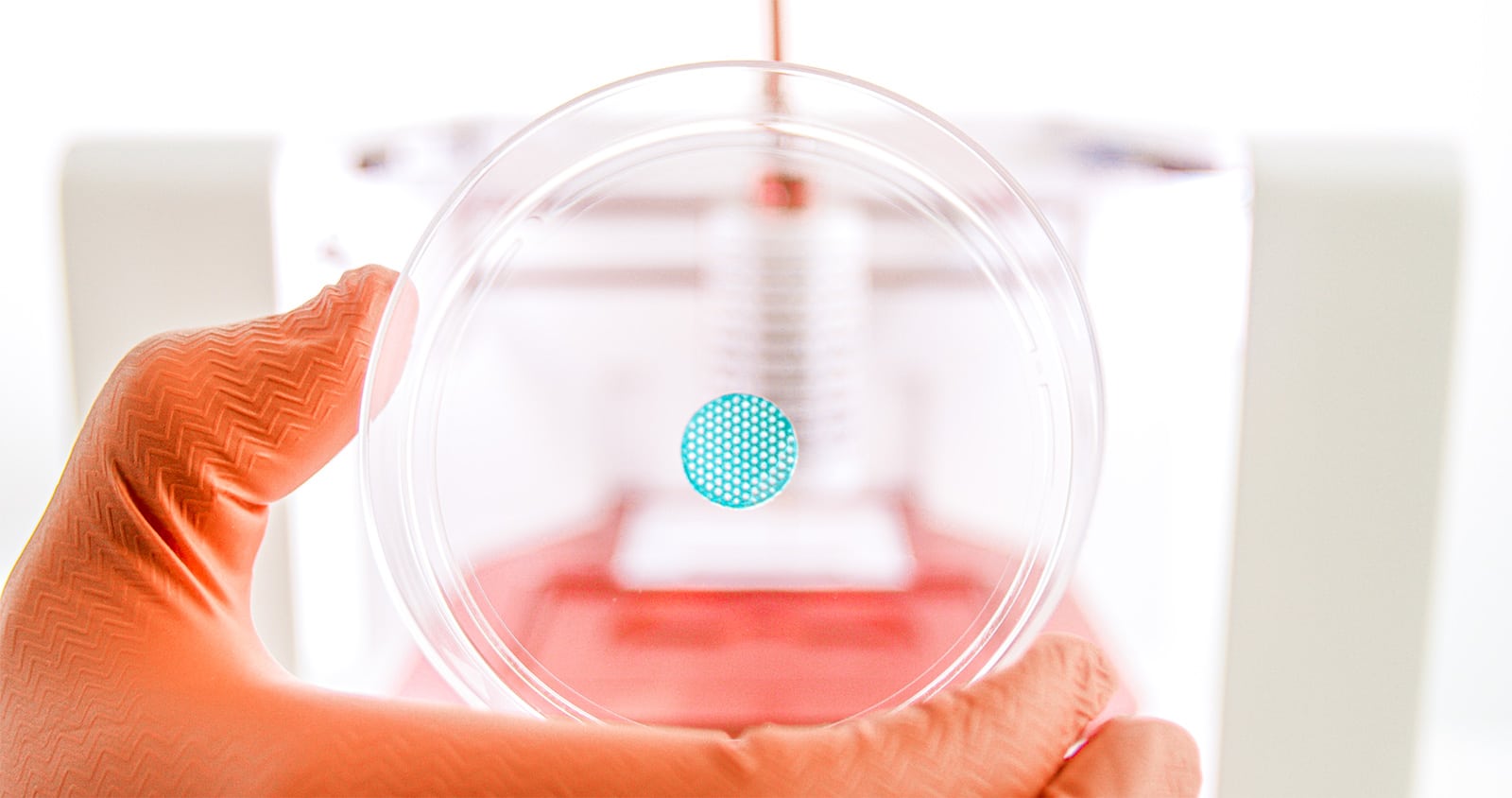 Pluronic Guide - Allevi