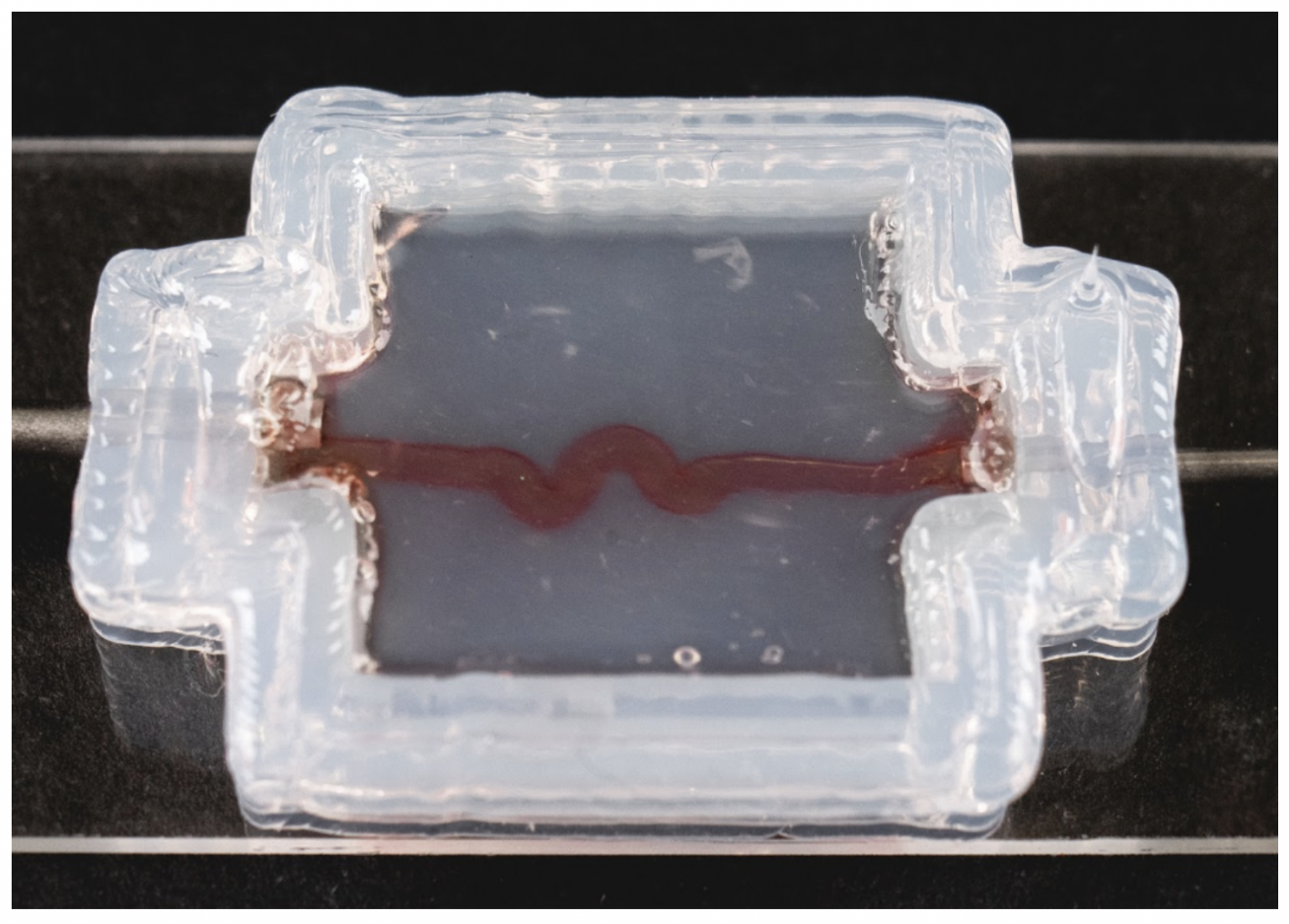 Bioprinting Vascularized Soft Tissue | Protocols - Allevi