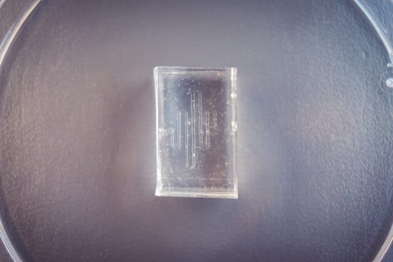 Announcing Our Newest Vascularization Protocol | Blog - Allevi