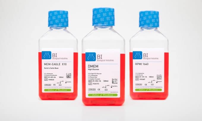 New Cell Media Will Change the Way We Study Cancer | Blog - Allevi