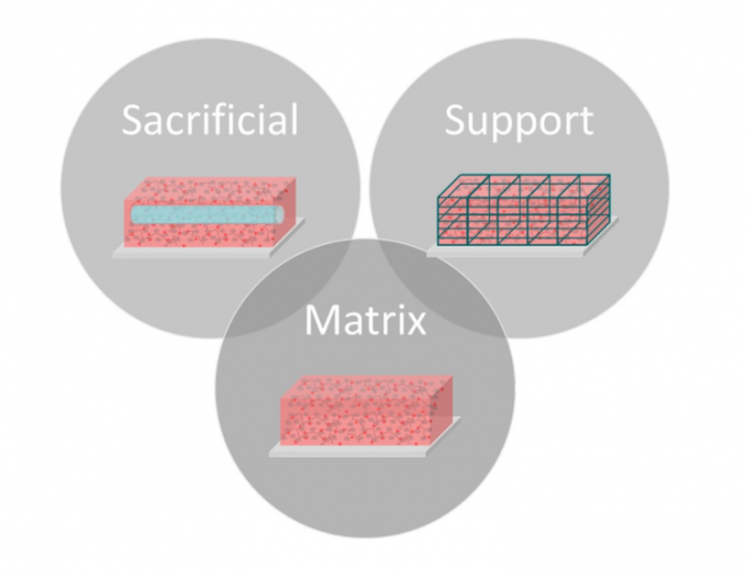 A Guide to Matrix Bioinks - Allevi