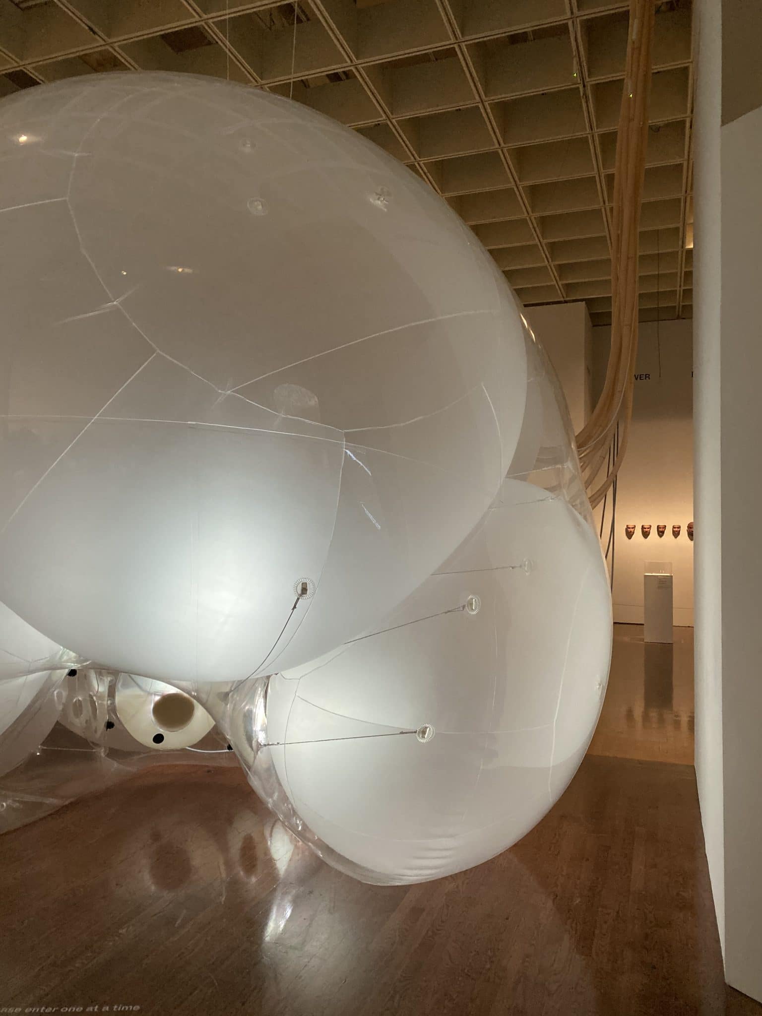 Allevi Designs for Different Futures | Blog - Allevi