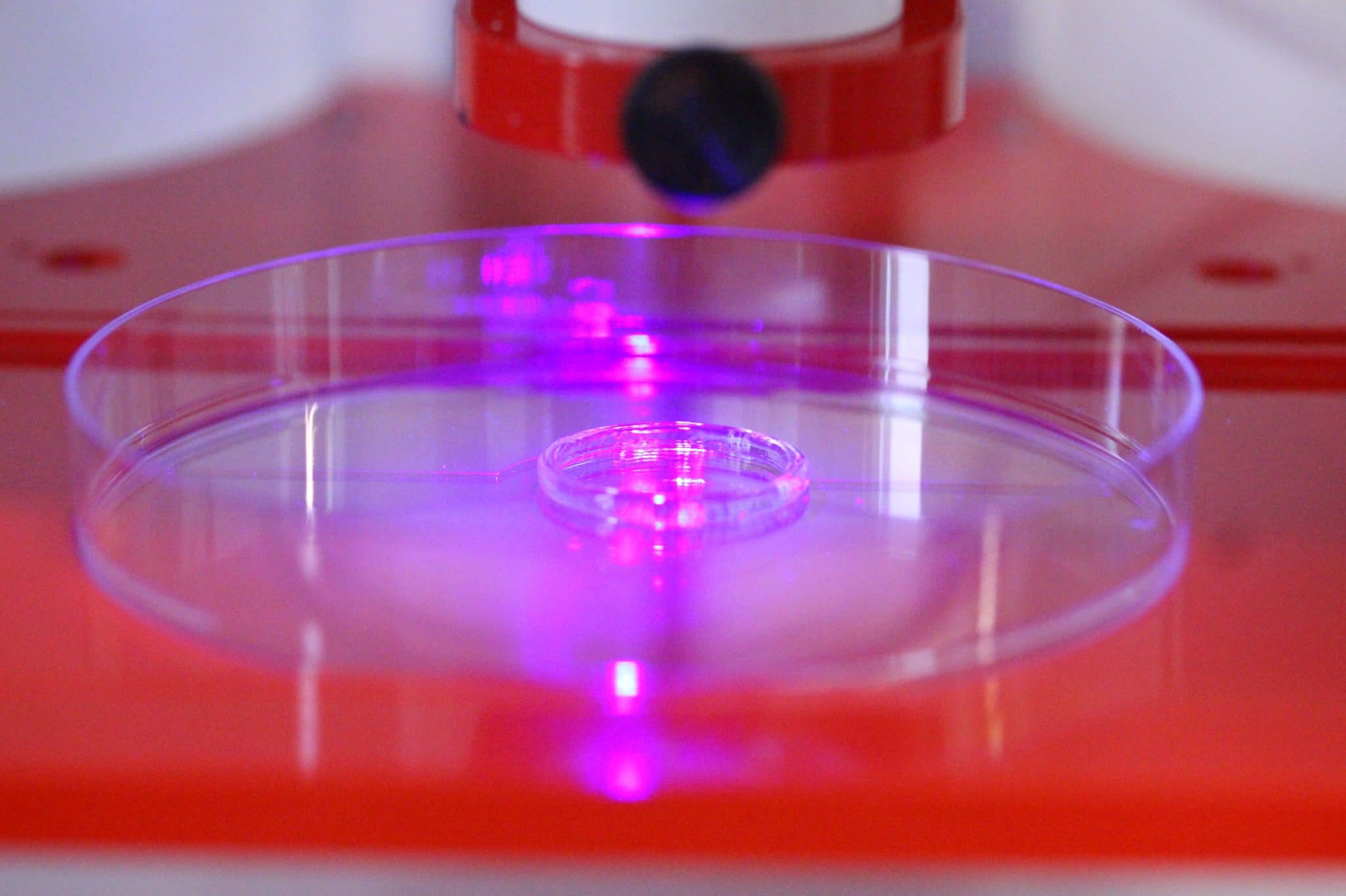 Photocuring Basics - Allevi