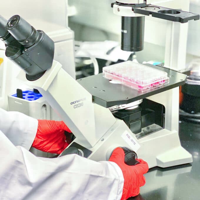 Coating Plates with PureCol® | Protocol - Allevi